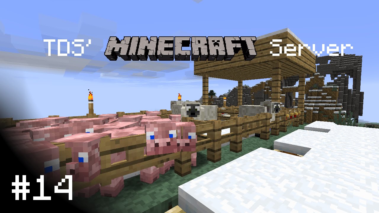 Minecraft - TDS' Minecraft Server - 014 - Животные (T548) - YouTube