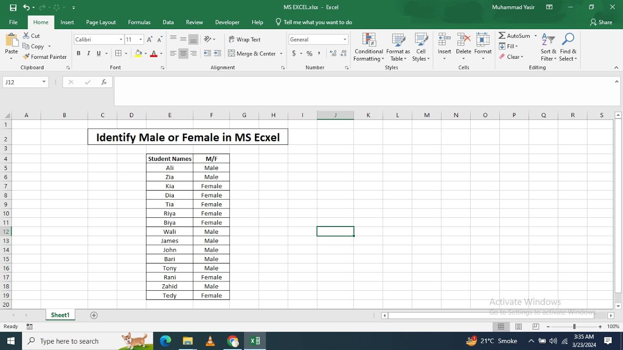 How to identify male or female person in microsoft excel - YouTube