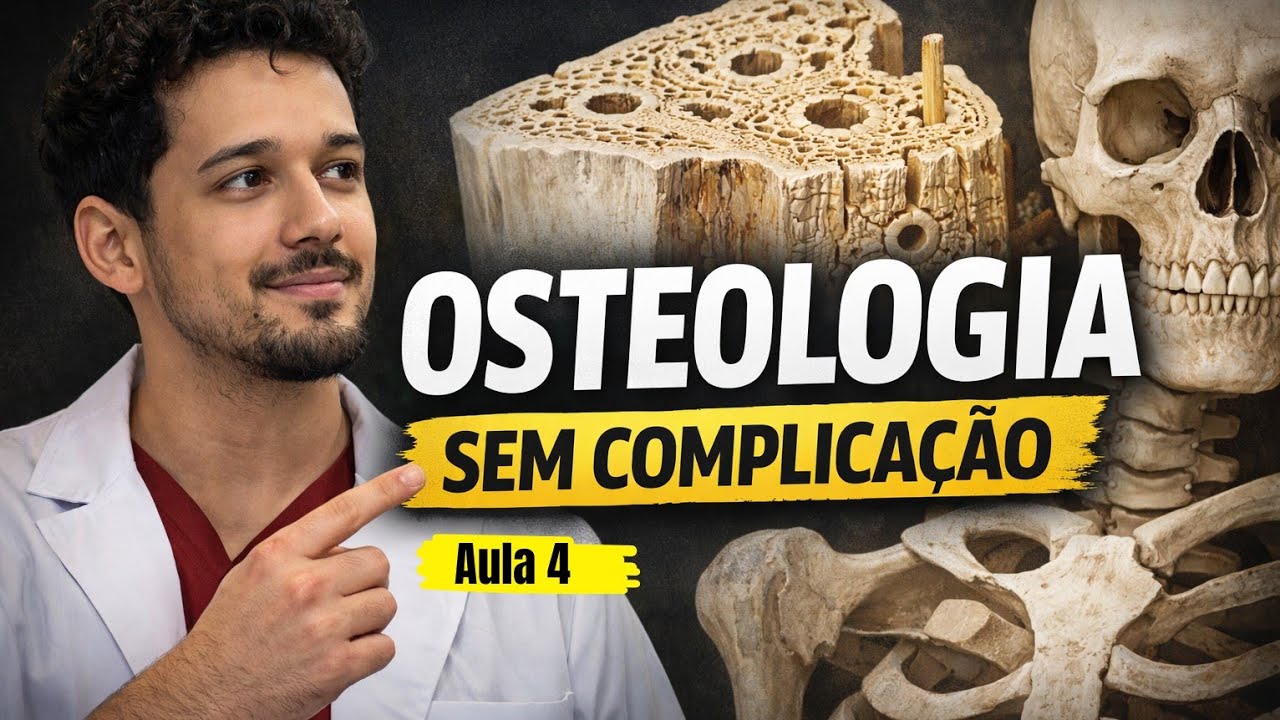Anatomia macroscópica do osso longo | Osteologia (aula 4) - YouTube