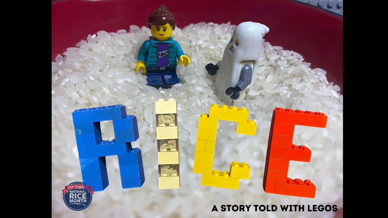 The Tale of the Rice Ghost: A Story Told With Lego (Grand Prize Winner ...