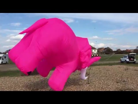 Pink Elephant kite wonders at Train - YouTube