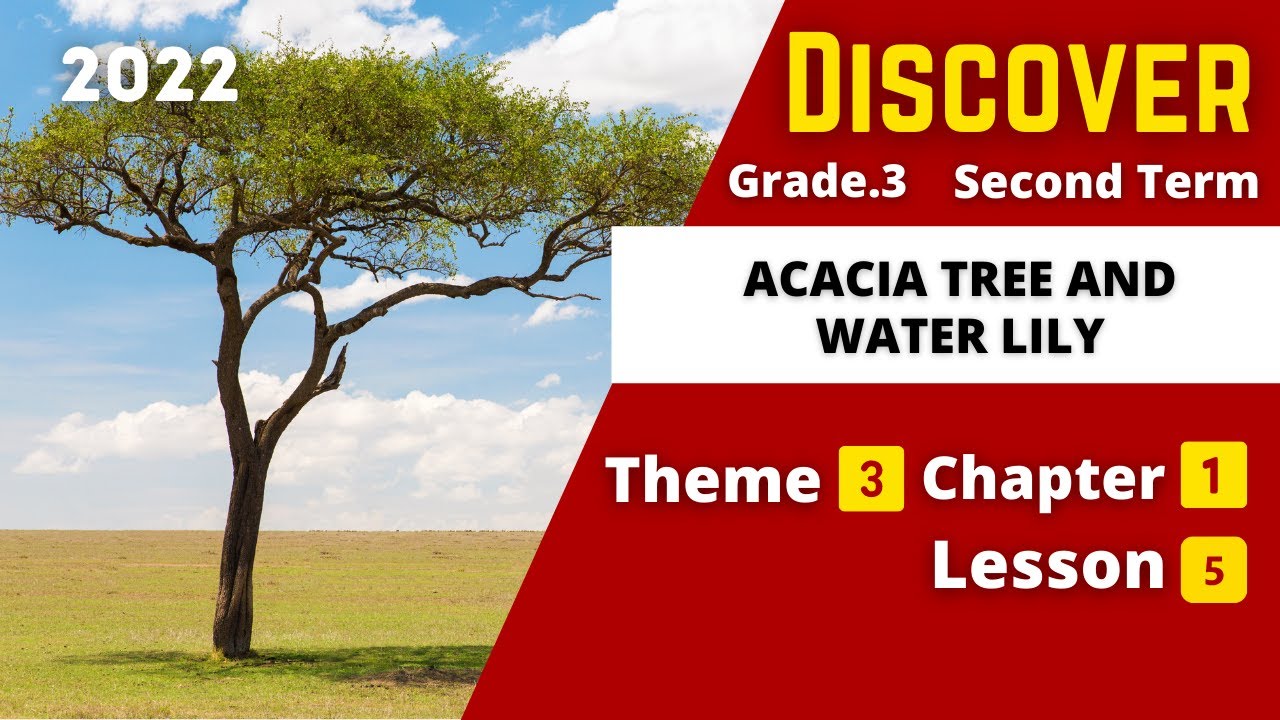 Discover | Grade 3 | Acacia tree and Water Lily | Theme 3 - Chapter 1 ...