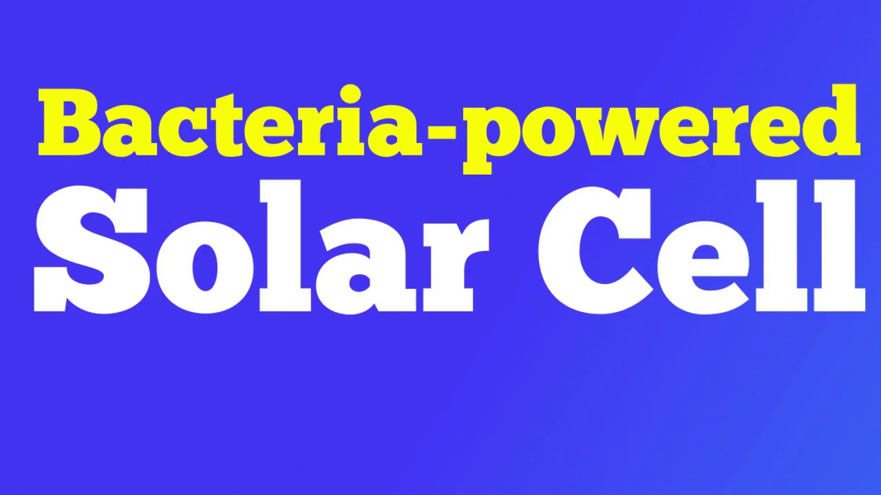 Bacteria-powered Solar Cell works even under overcast skies - YouTube