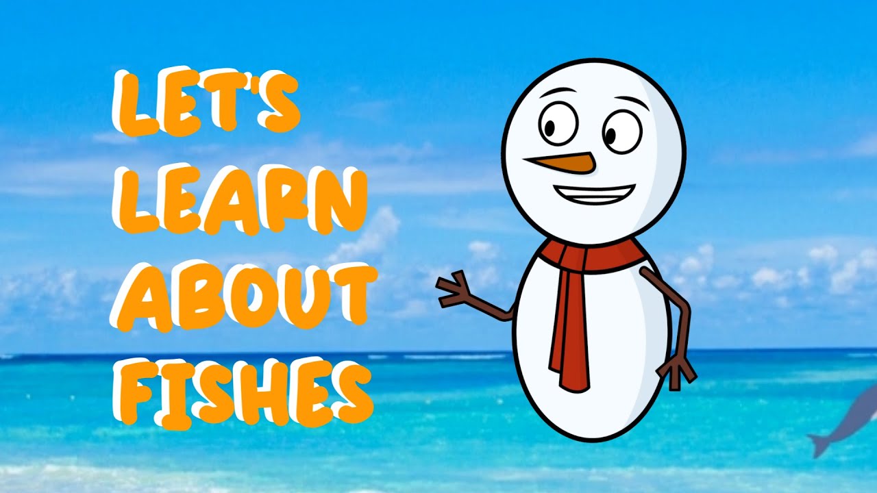 LearnPaedia - Let's Learn About Fish - YouTube