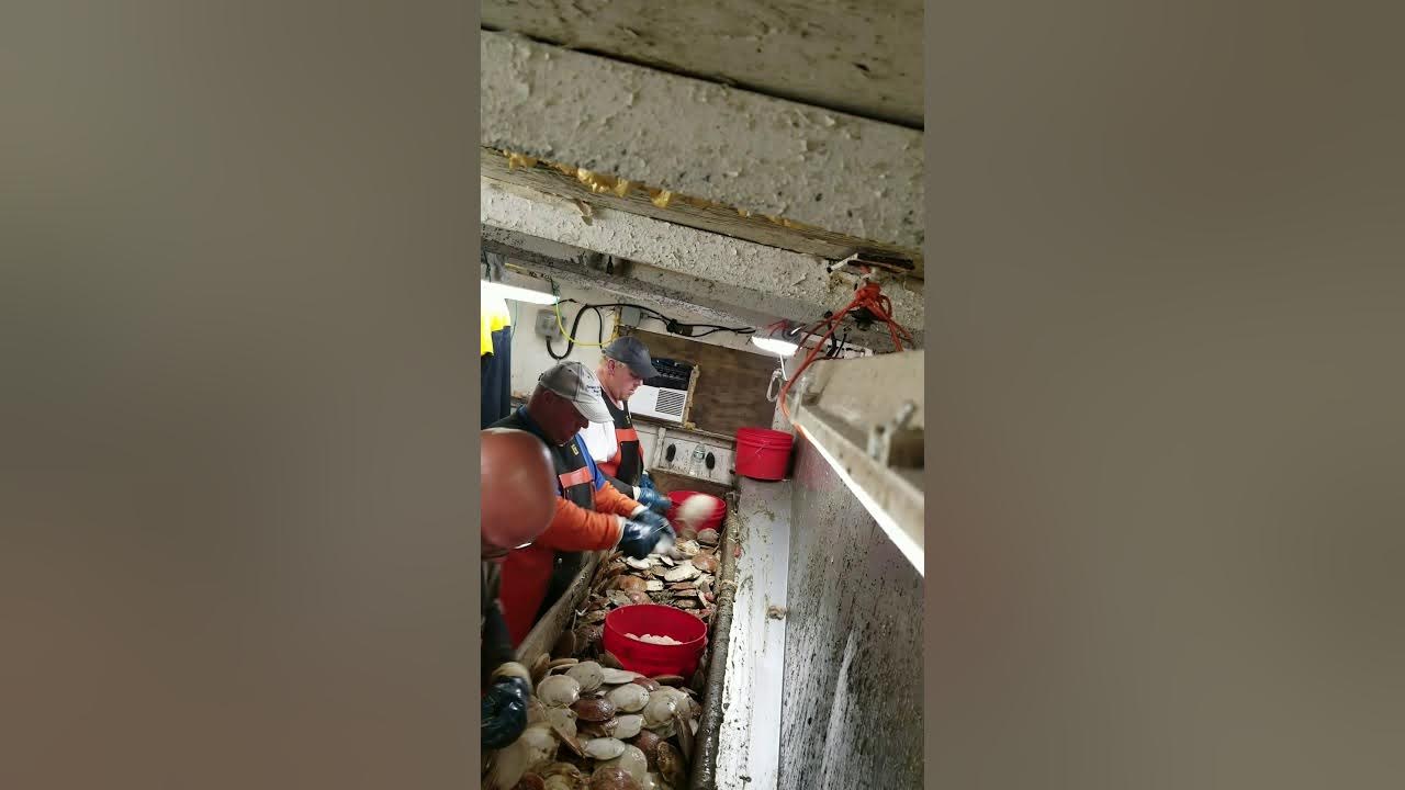 Fishing for a living it's what I do !!!! - YouTube