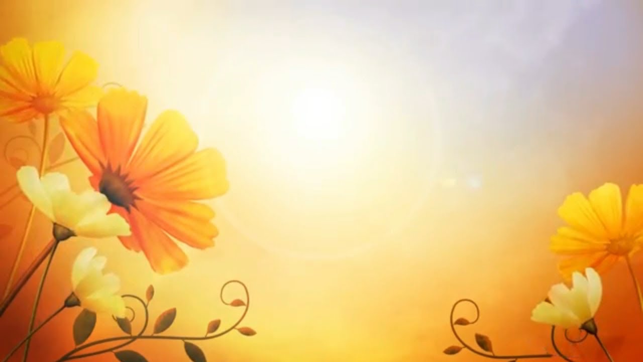 Top 10 Background For Video || No Text || Free Download - YouTube