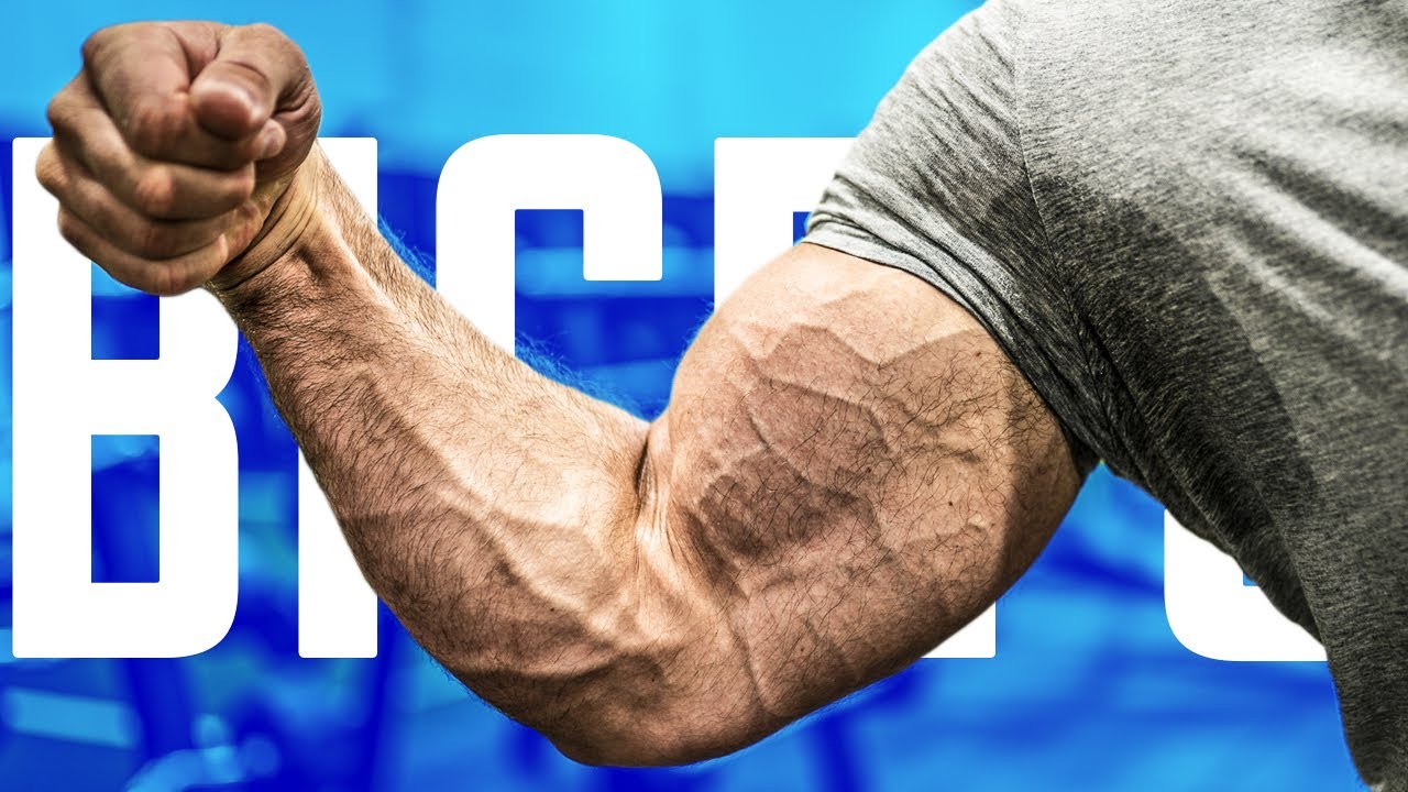 Bicep Exercises YOU'RE DOING WRONG!
