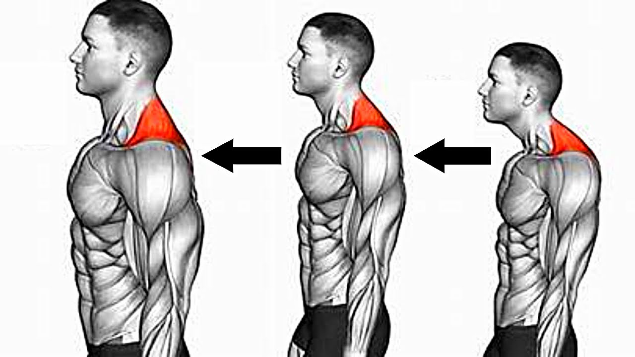 The Best 7 Stretching Exercises for Your Neck - YouTube