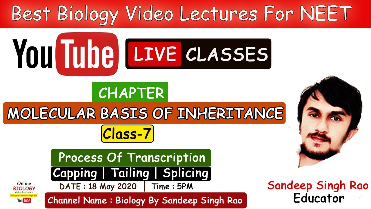 Process Of Transcription & Post transcriptional modification(Capping ...