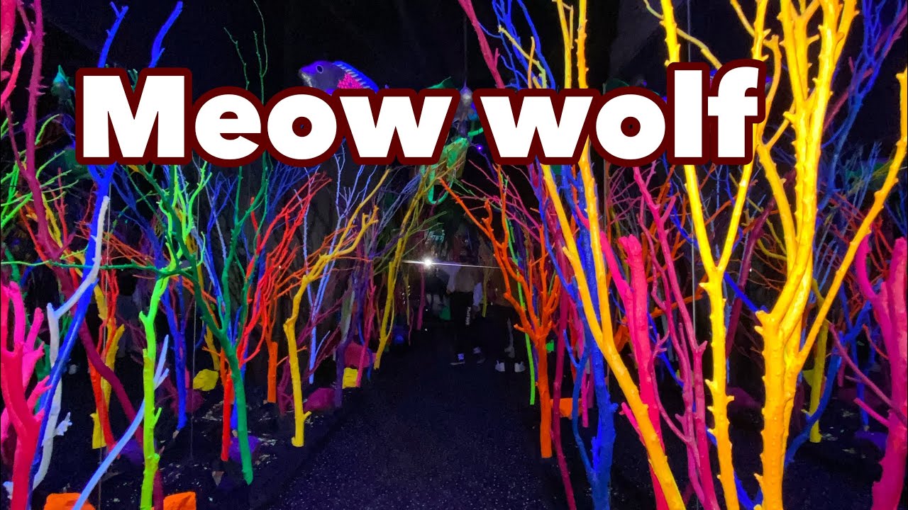 Meow wolf Santa Fe New Mexico USA - YouTube
