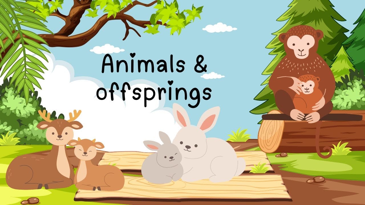 Animals & their offspring | Match the mother and the baby #animalsbaby ...