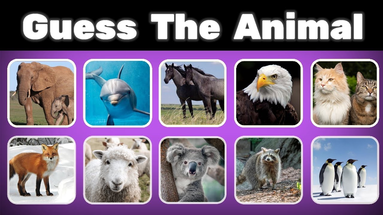 CAN YOU GUESS THE ANIMAL | Guess The Animal 🦁🐕 - YouTube