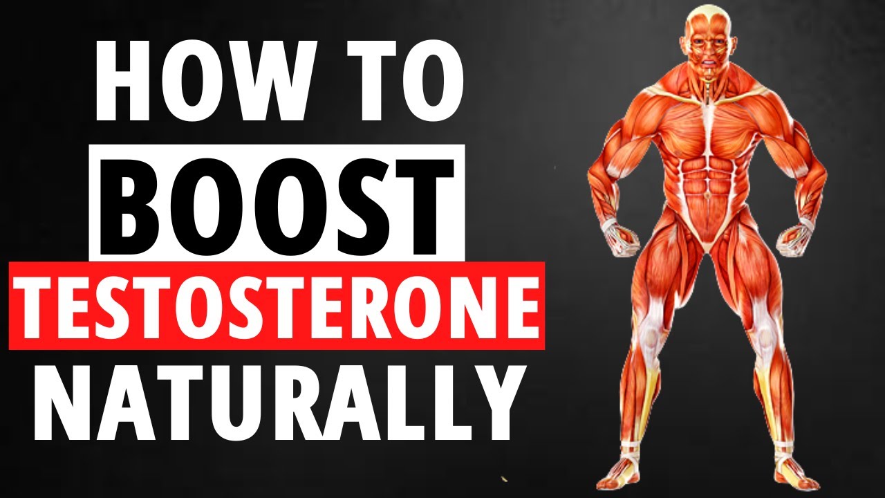 How To Boost Testosterone Naturally | 5 Ways To Increase Testosterone ...