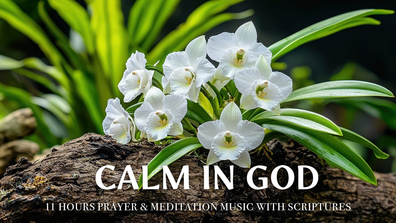 CALM IN GOD | Inspiring Bible Verses & Calm Worship Piano | Christian ...