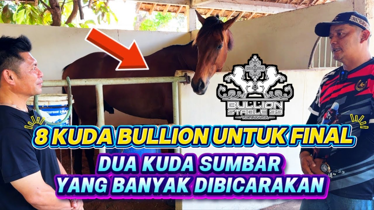 KONTINGEN DIY‼️ Review KUDA PACU BULLION 99 STABLE, Menuju Event FINAL ...