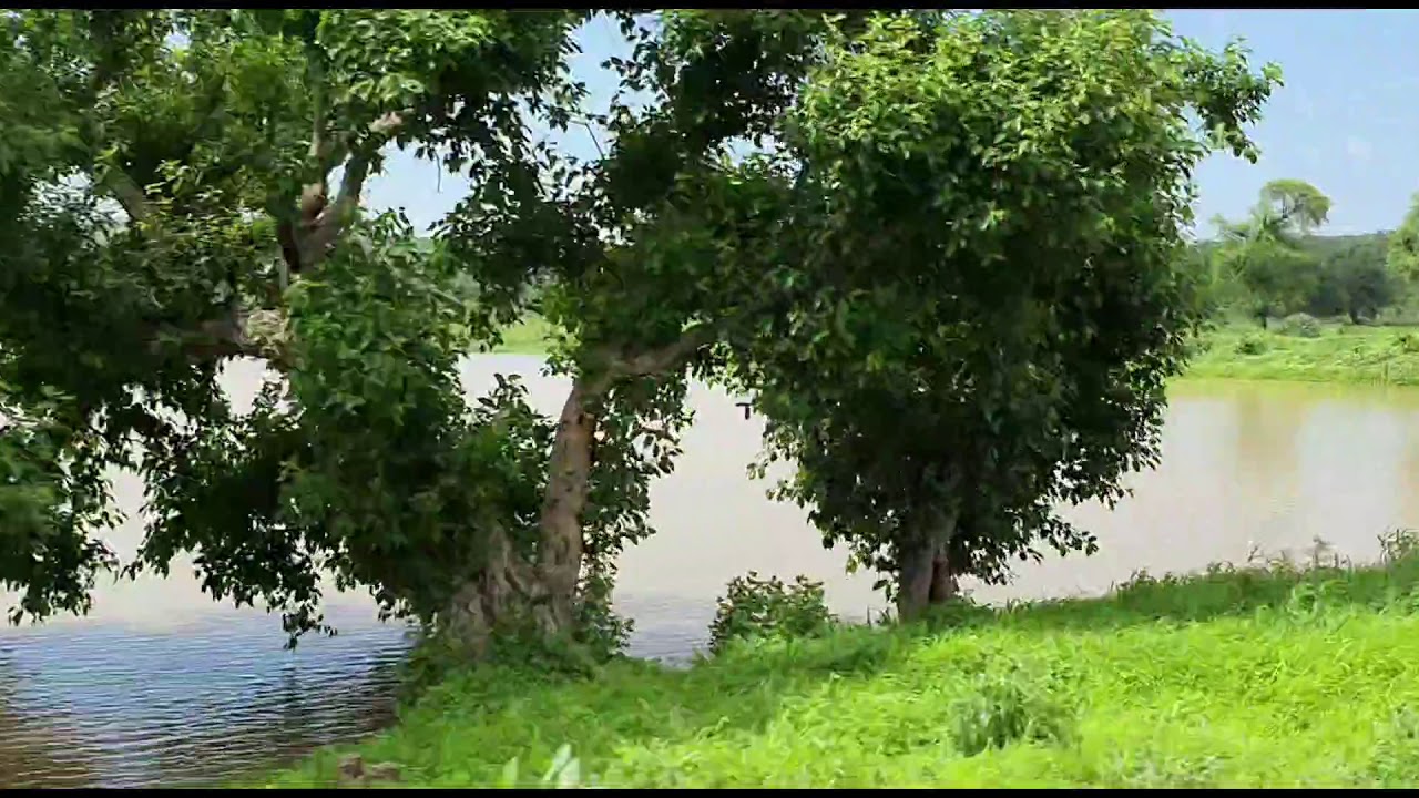 Vindhya Region journey by Train - YouTube