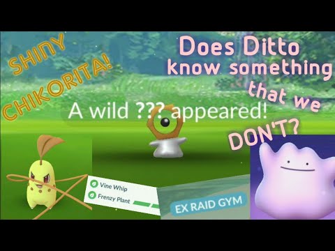 POKEMON GO "FAT POKÈMON TRAINER" - Ep. 38 "Chikorita & Meltan Day ...