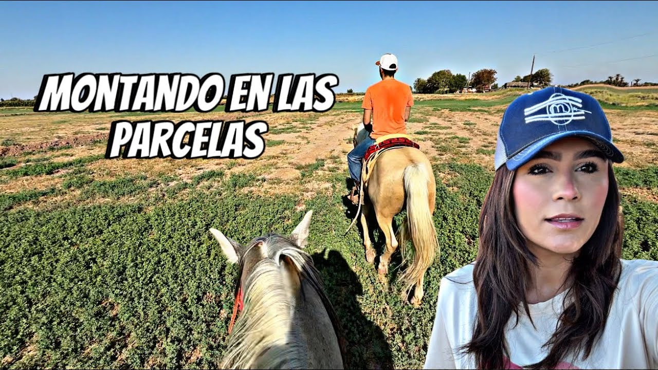 Montando a caballo en las Parcelas. Caballos reparando. - YouTube