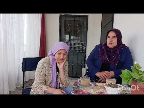 25 TEMMUZ CUMARTESİ?