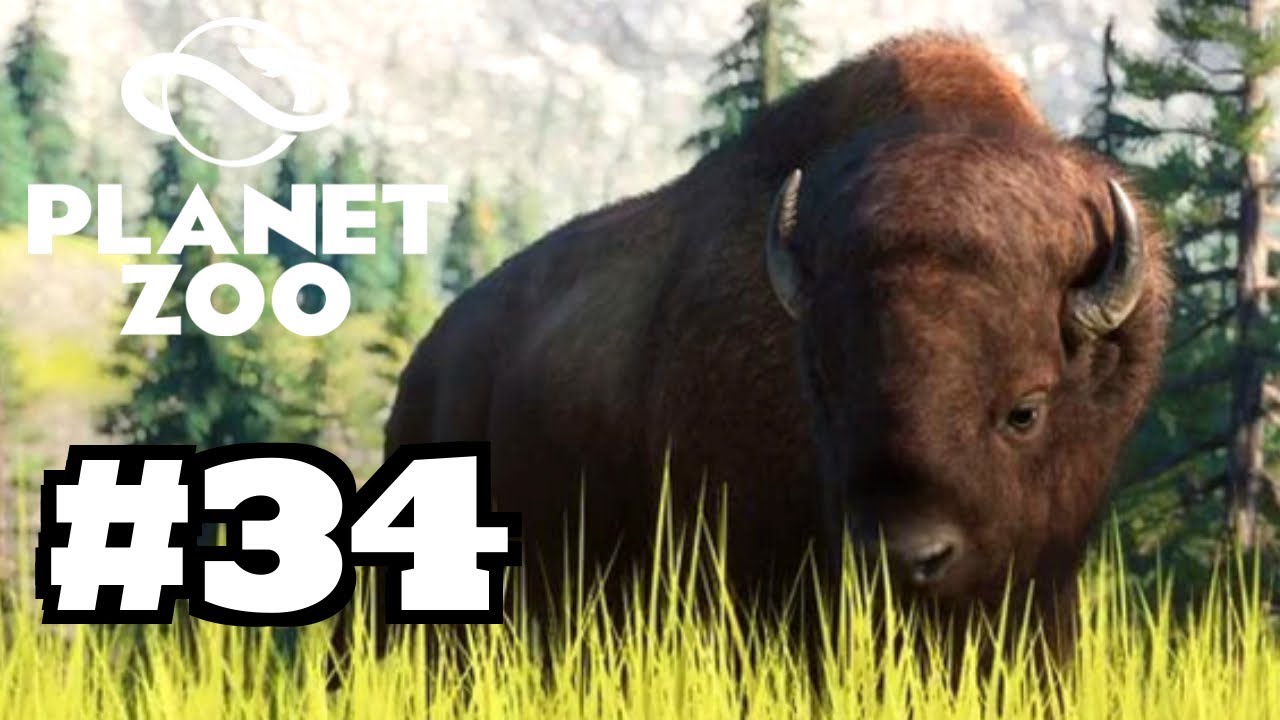 The Last Leg!!! Bronze Star!!! Planet Zoo Campaign Walkthrough - Part ...