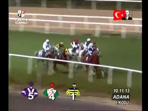 Adana Hipodromu (5. Yarış Günü) 1. Koşusu