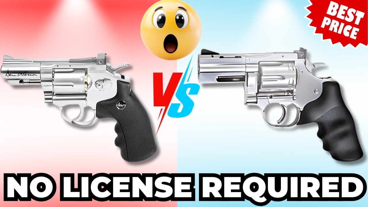 Dan Wesson Air Revolver Comparison: Best CO2 Revolver? | Accuracy and ...