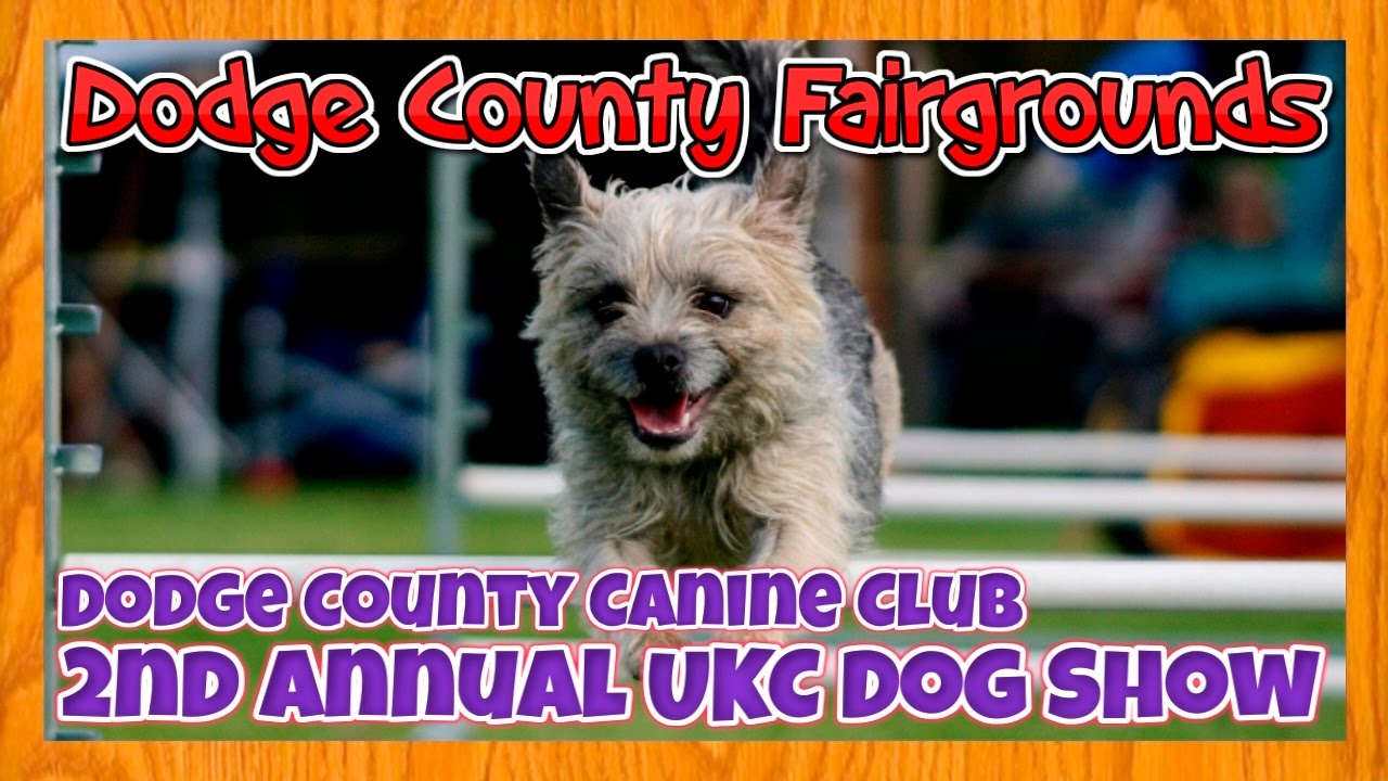 Dodge County Canine Club 2nd Annual UKC Dog Show Beaver Dam Wisconsin ...