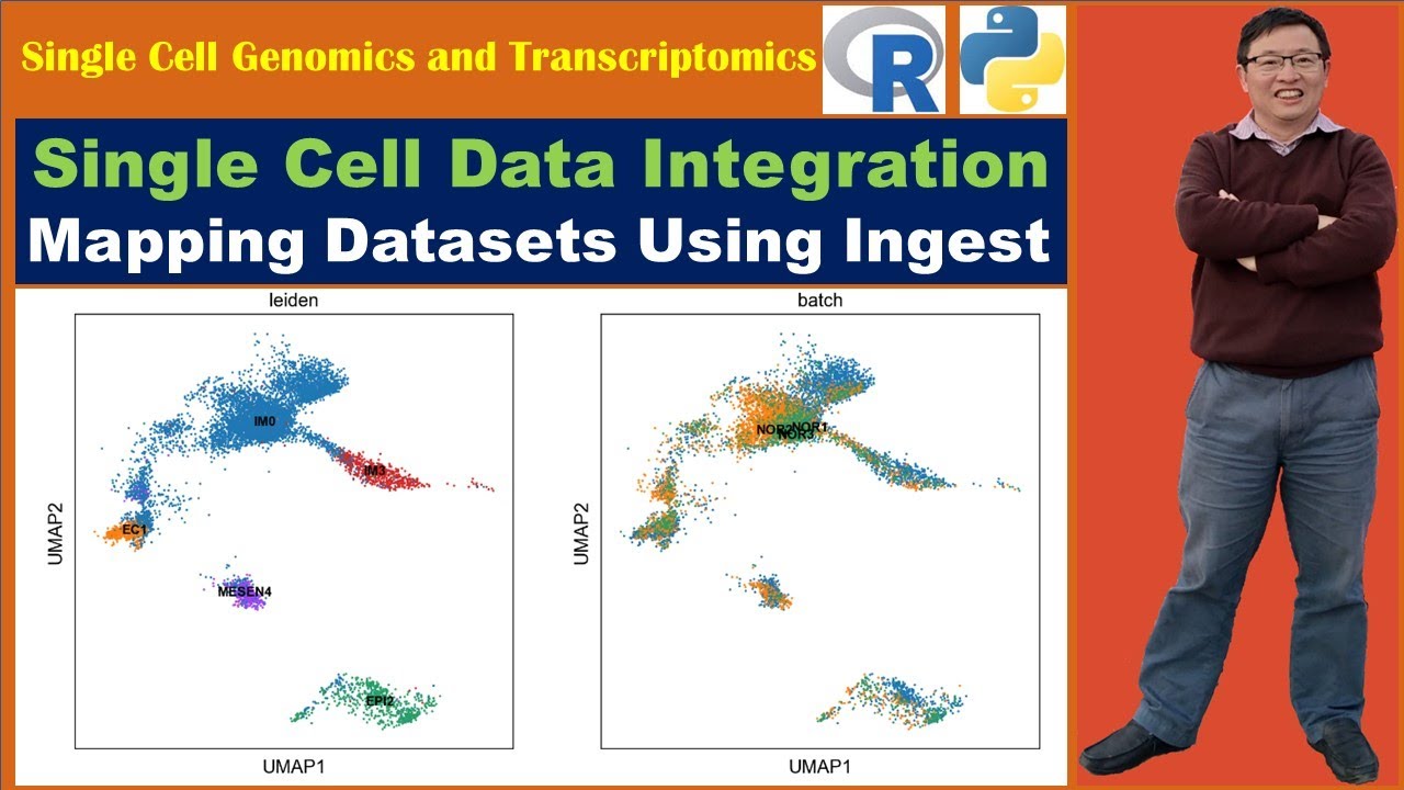 Single Cell Data Integration Mapping Datasets Using Ingest In Scanpy 1802