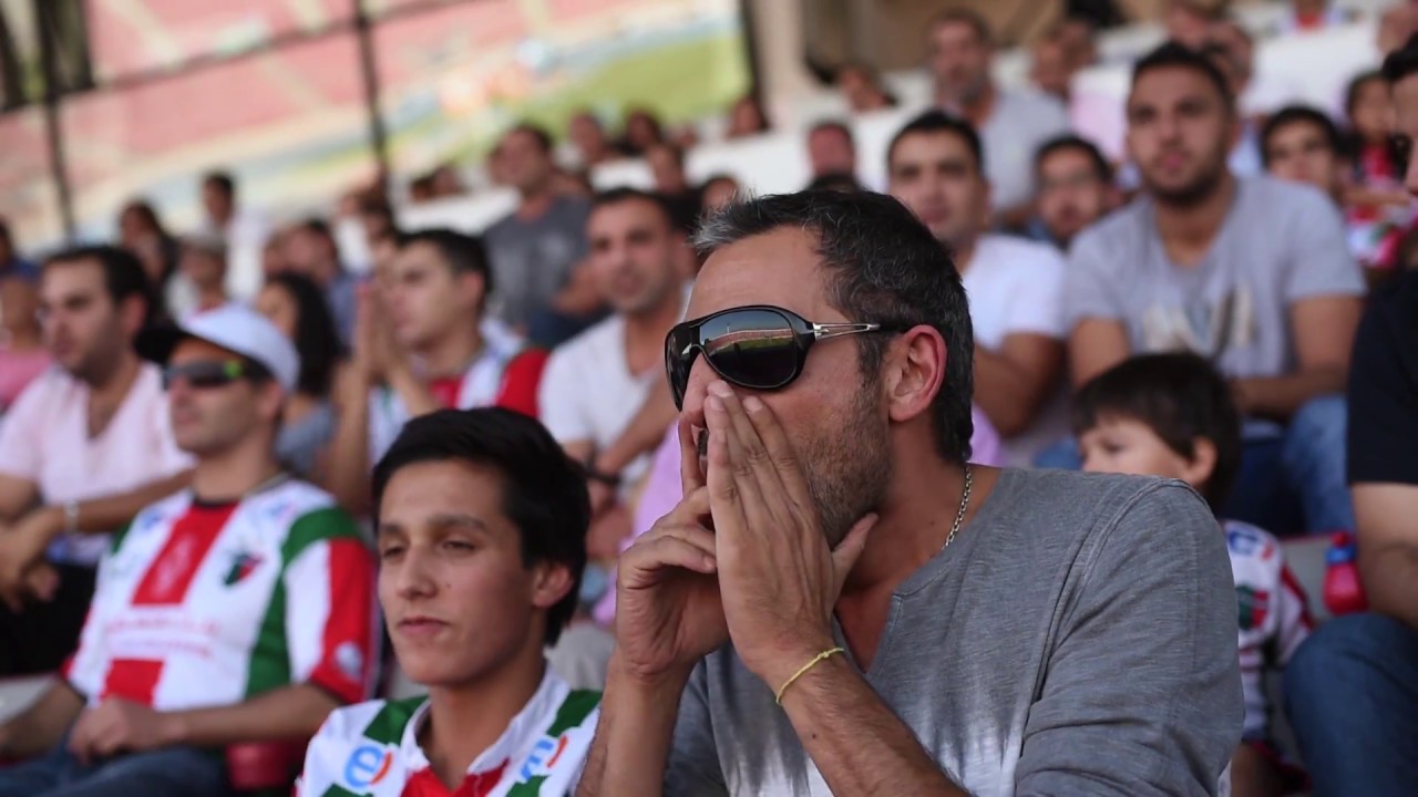 The Skin of Palestine - YouTube