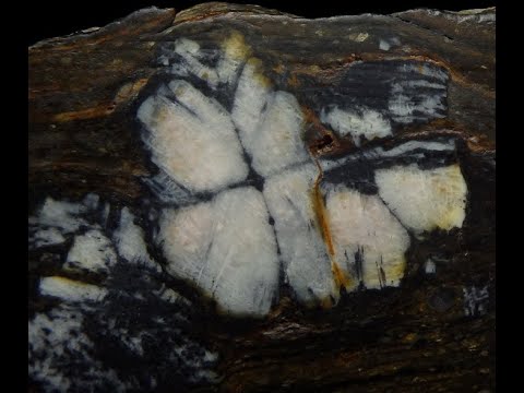ANDALUZYT - CHIASTOLIT - Hiszpania, Asturia, Boal /Minerały ...