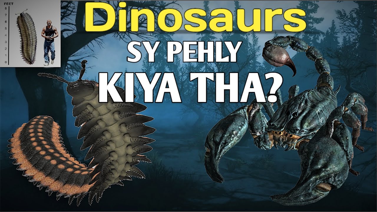 Age Of The Giant Insects | The Earth Before The Dinosaurs - YouTube