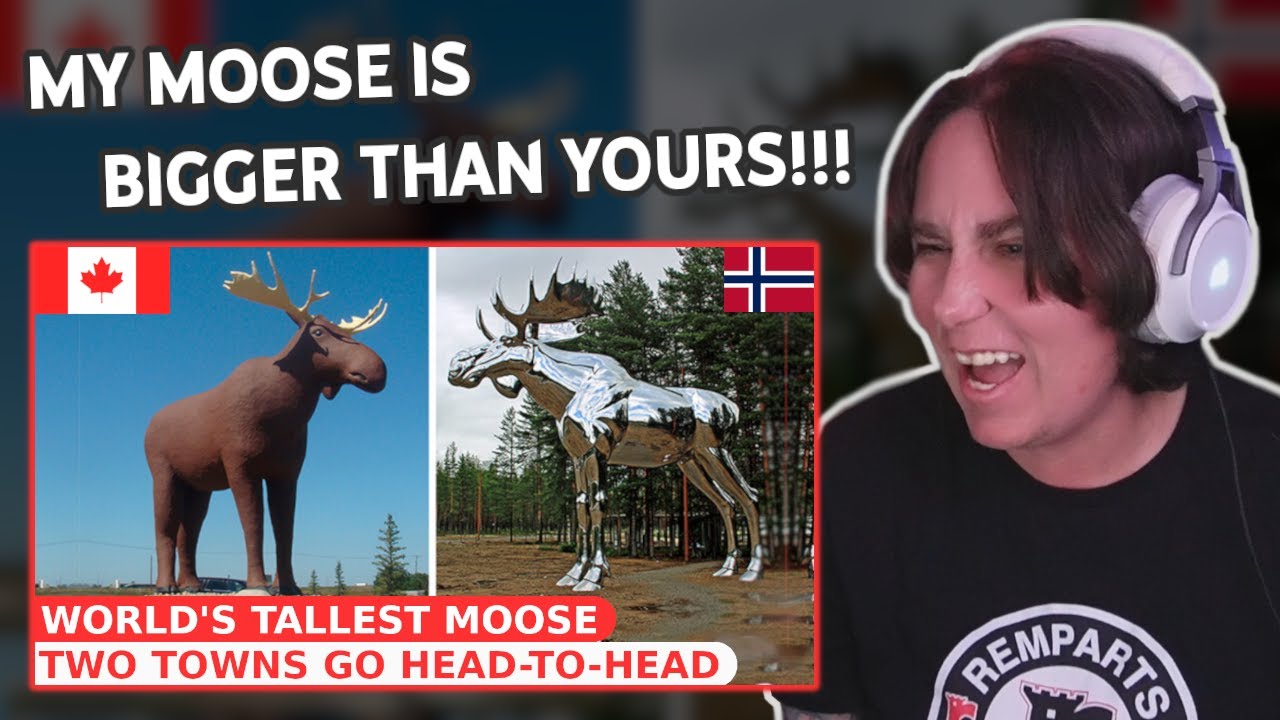 WORLD'S TALLEST MOOSE - Two small towns go head-to-head for the title ...