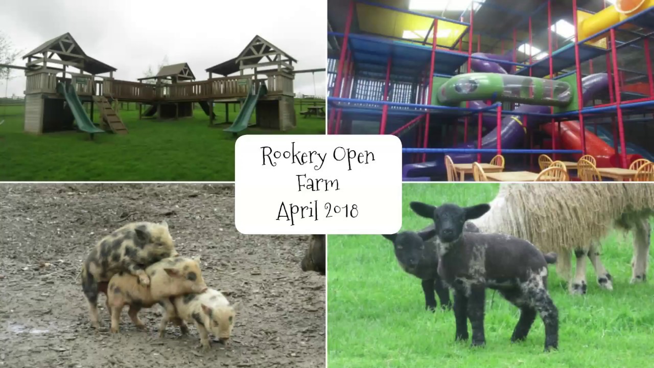 Rookery Open Farm - April 2018 - YouTube