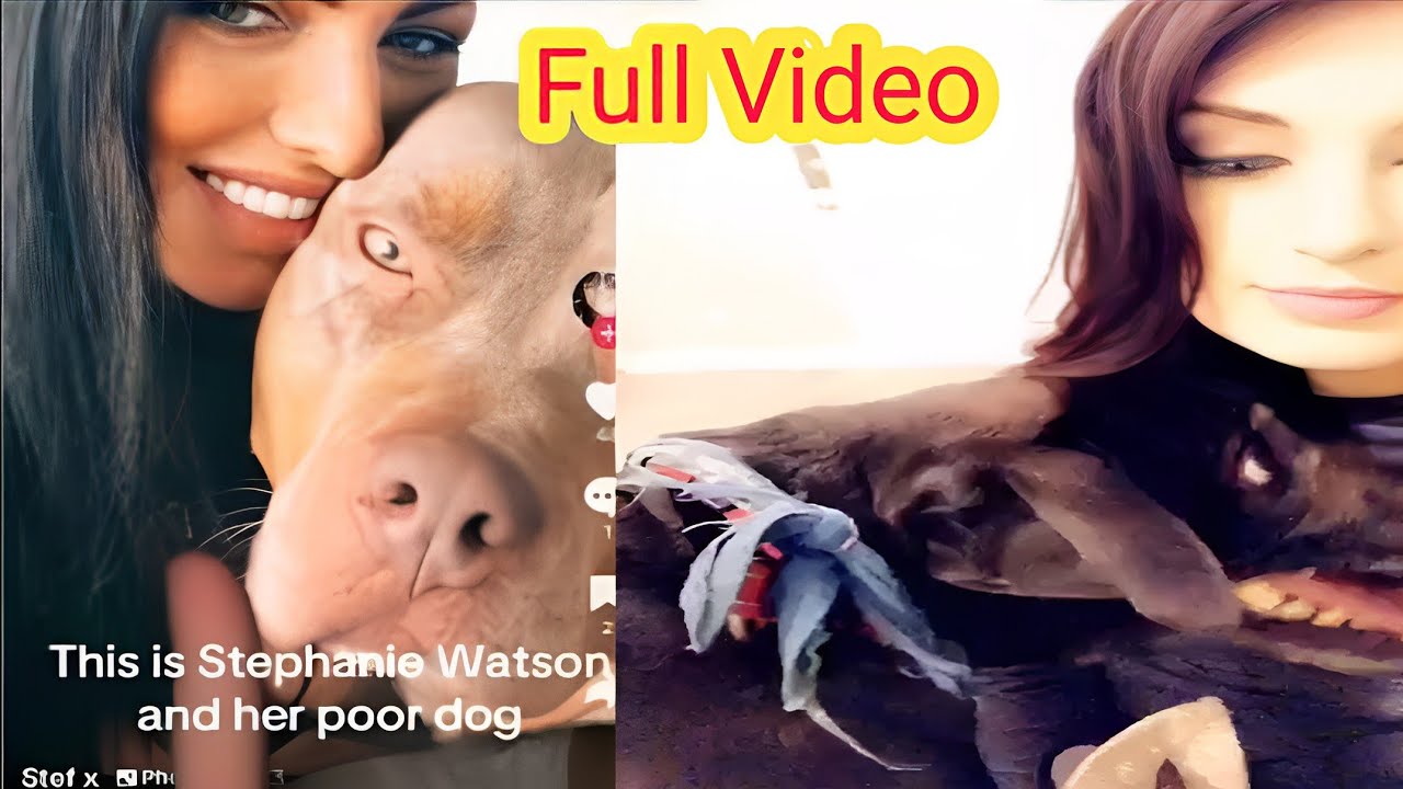 wtich the Stephanie Watson Dog Video|Stephanie Watson Glasgow Dog Video ...