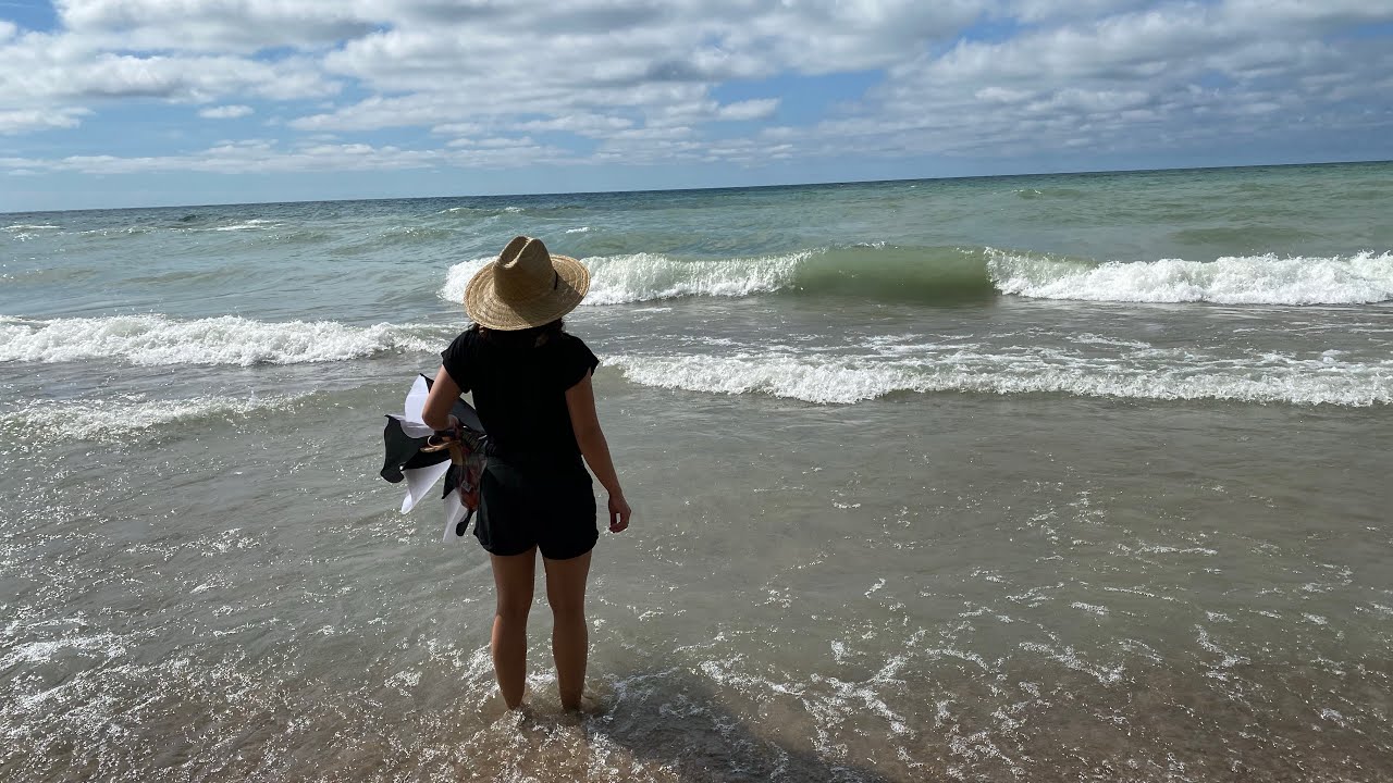 🌴Meeting Strangers- We Spent the Day Together Visiting Union Pier Beach ...
