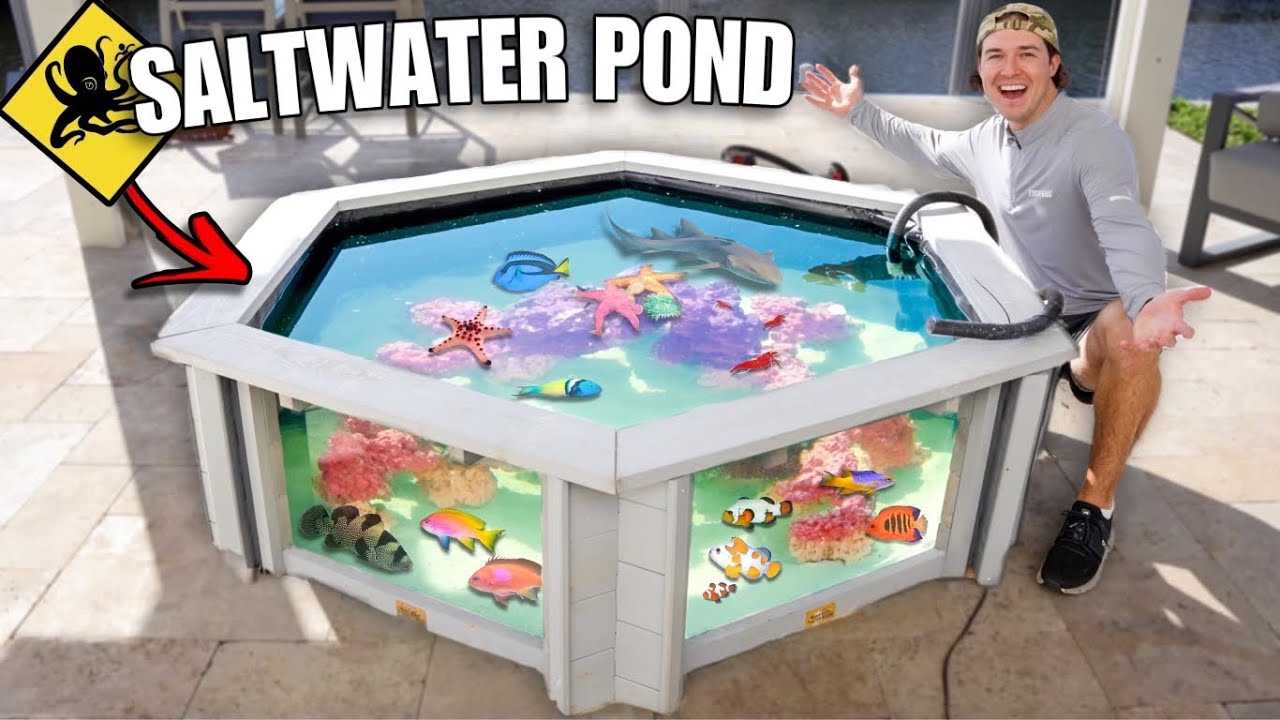 My Dream Outdoor SALTWATER MINI POND Is FINALLY BACK! - YouTube