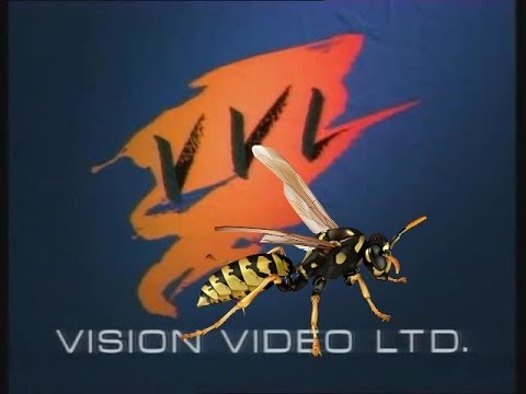 Vision Video LTD Logo blooper (81718*) - YouTube