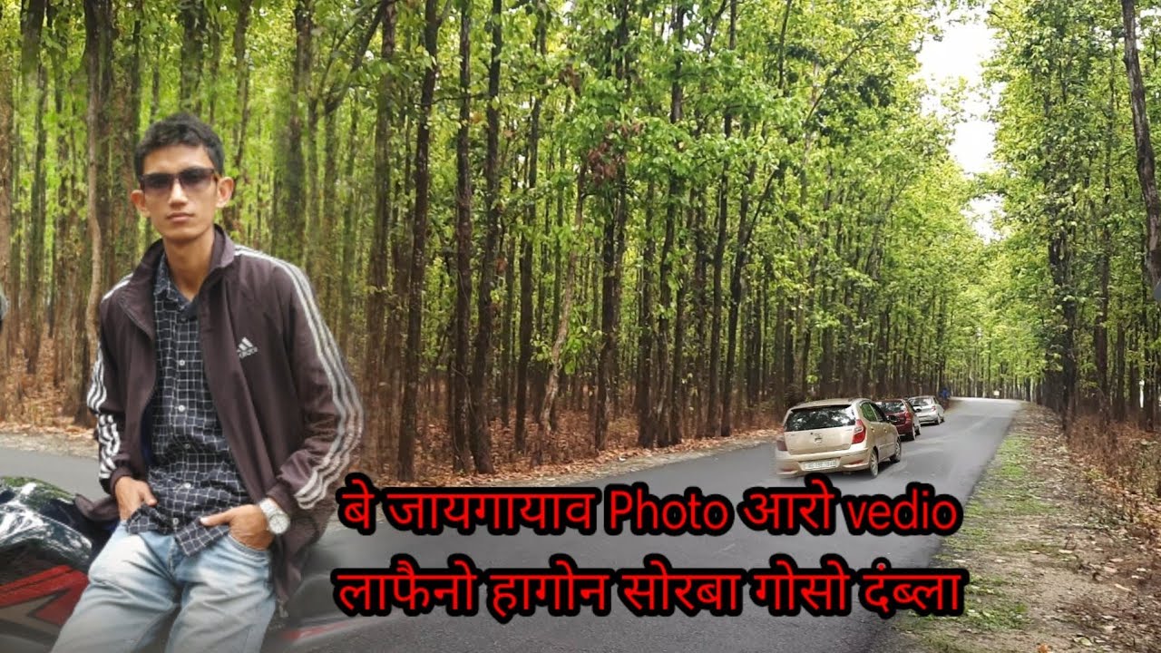 Beautiful sal tree forest // Dist_kokrajhar - YouTube