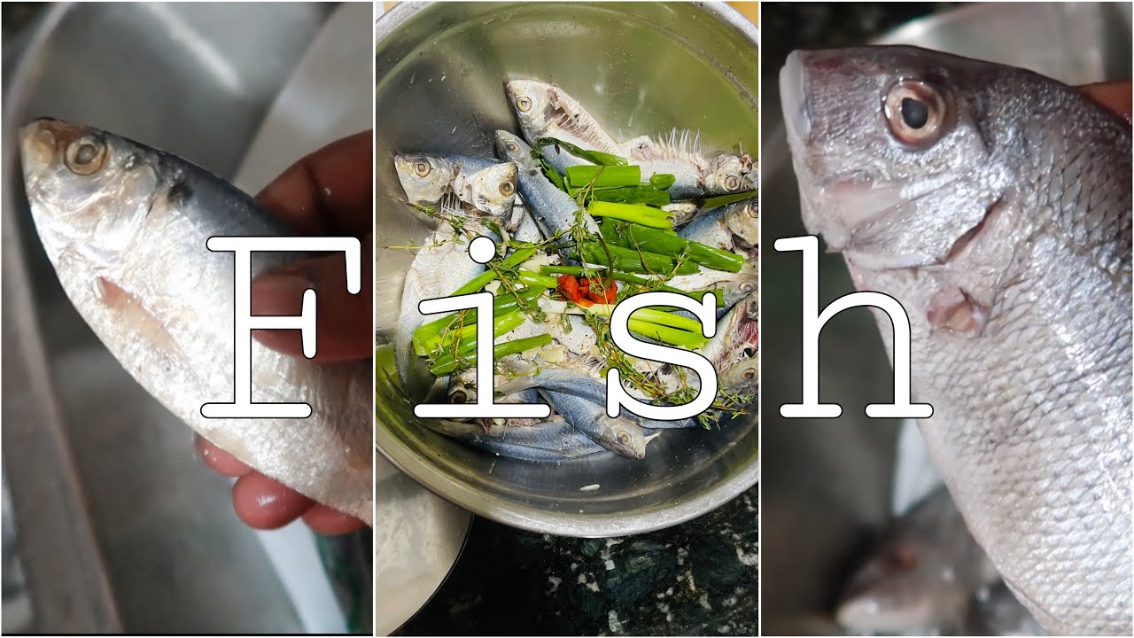 What Does $100 Worth of Fish looks like | Sprat Fish | Porgy Fish ...