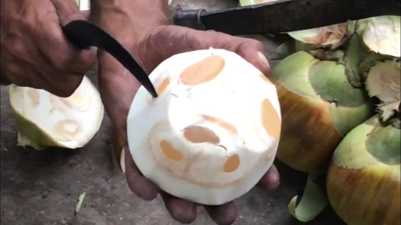 How to cut open palmyra palm fruit||Peeling palm fruit || Street food ...
