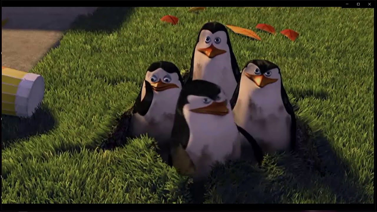 Madagascar | Best Penguins of Madagascar Scenes - Funny Action Moments ...