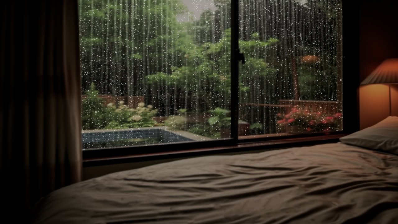 GENTLE RAIN Sounds in The Foggy Forest for Sleeping | Rain at midnight ...