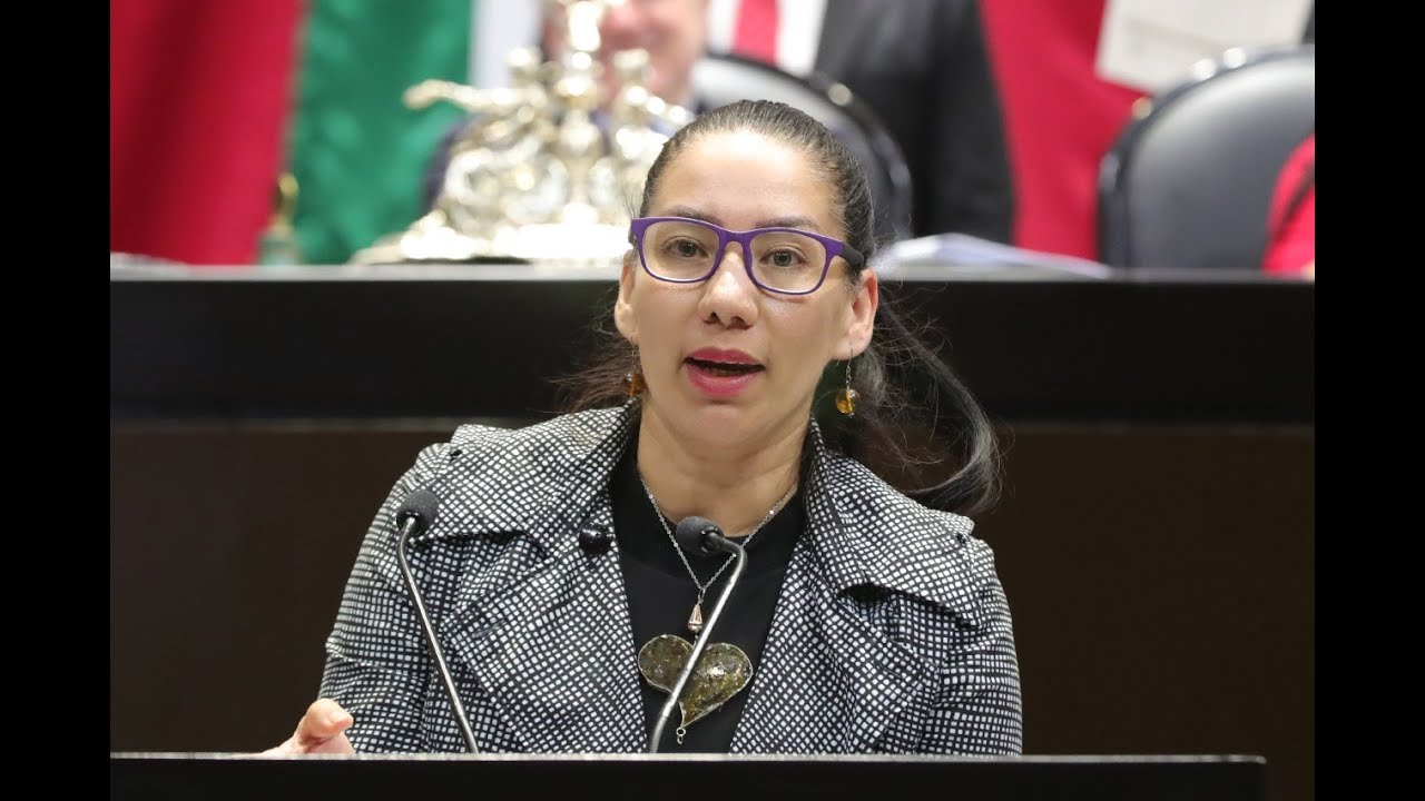 Dip. Olga Luz Espinosa Morales (PRD) / Presentación de reservas - YouTube