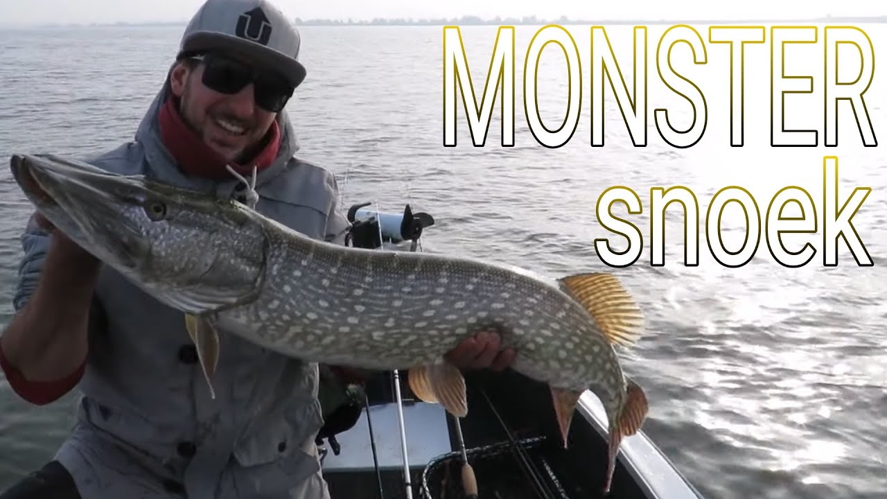 #121 - DIKKE Hollandsdiep SNOEK! Robert Grootenboer - YouTube