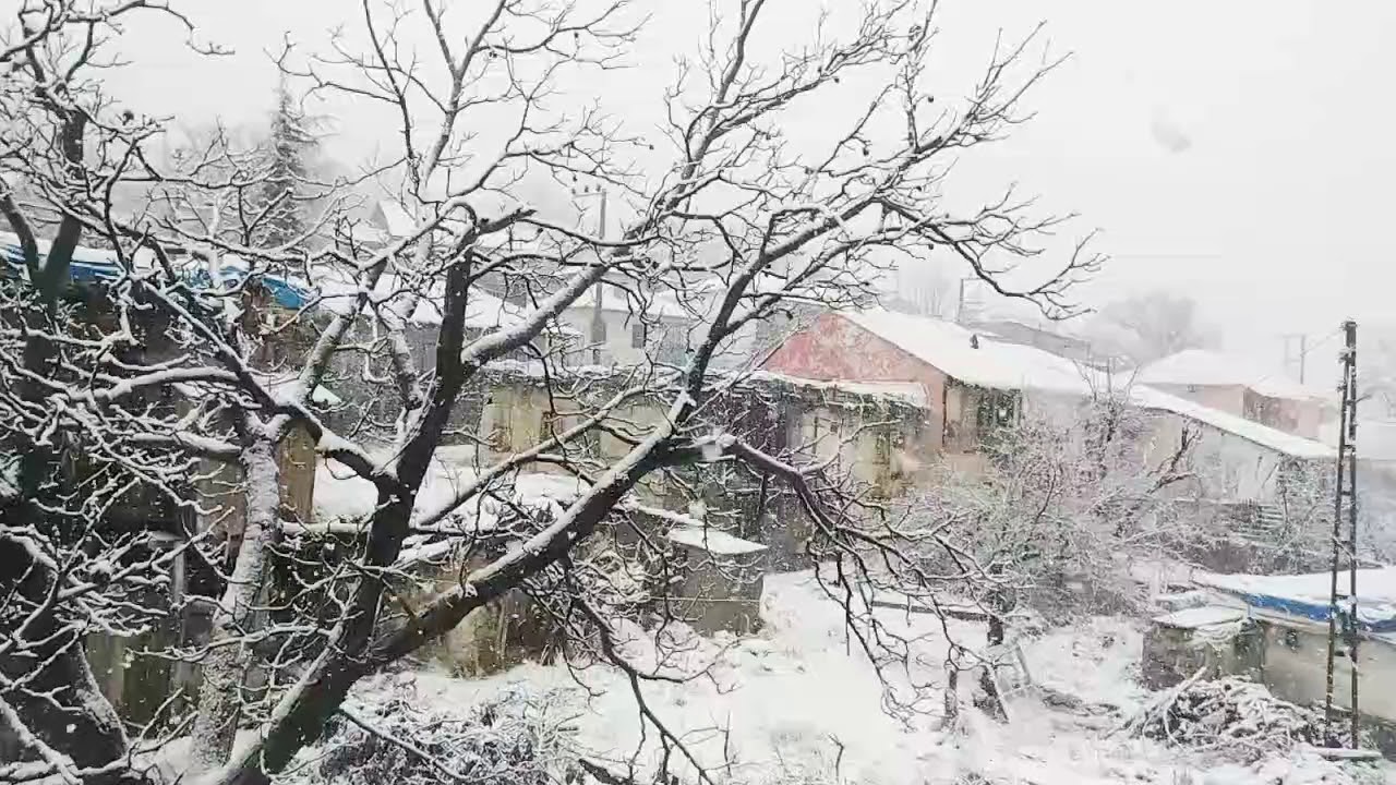 CEVİZ KAR MANZARASI ARSLANKÖY - YouTube