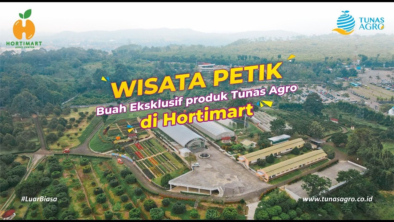 Kenali Lebih Dekat tentang Hortimart Agro Center ! - YouTube
