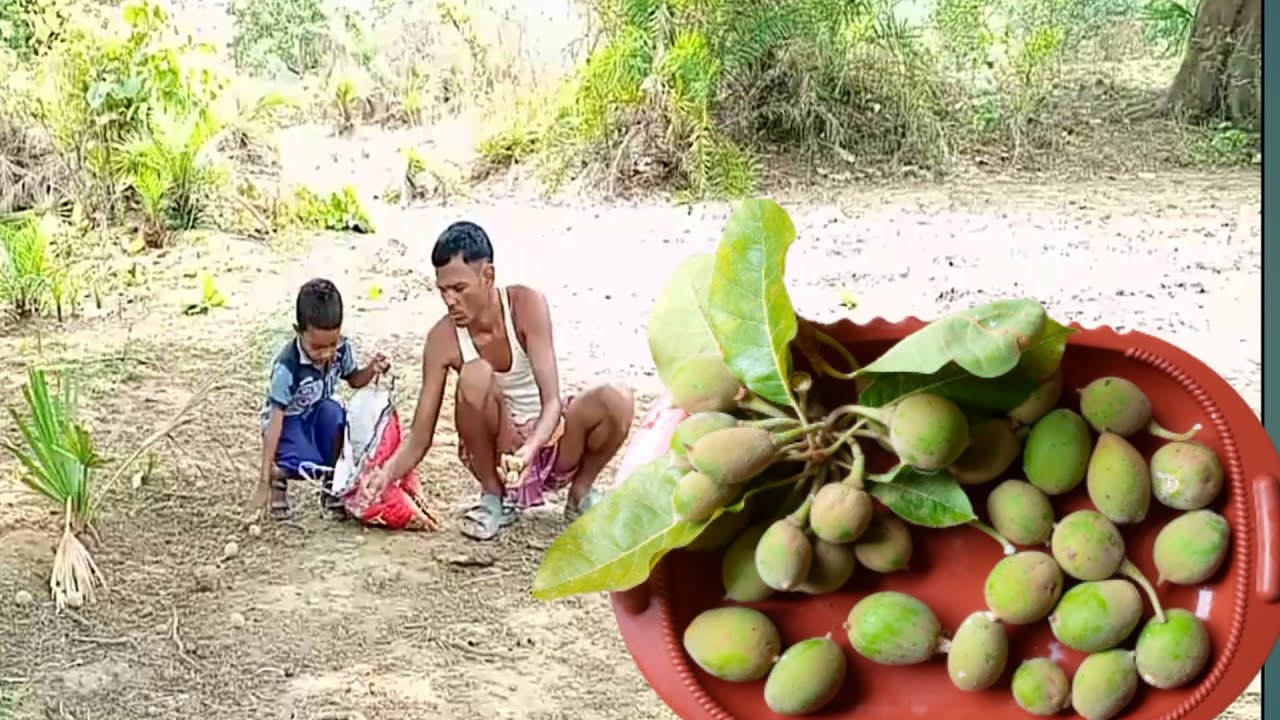 Tribe people traditional food cooking MAHUA FRUIT//mahul phala recipe ...