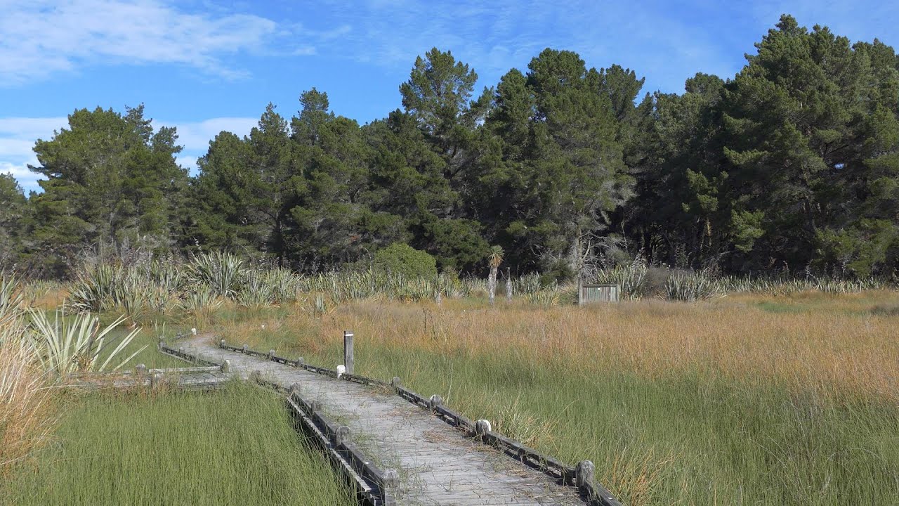 4K UHD - Virtual Walks with Ambient Music #13 - Spencer Park Wetland ...