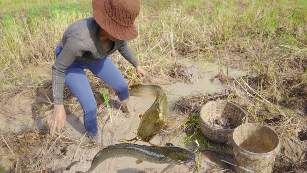 Mastering the Art of Shallow Water Fishing: Proven Techniques | San ...