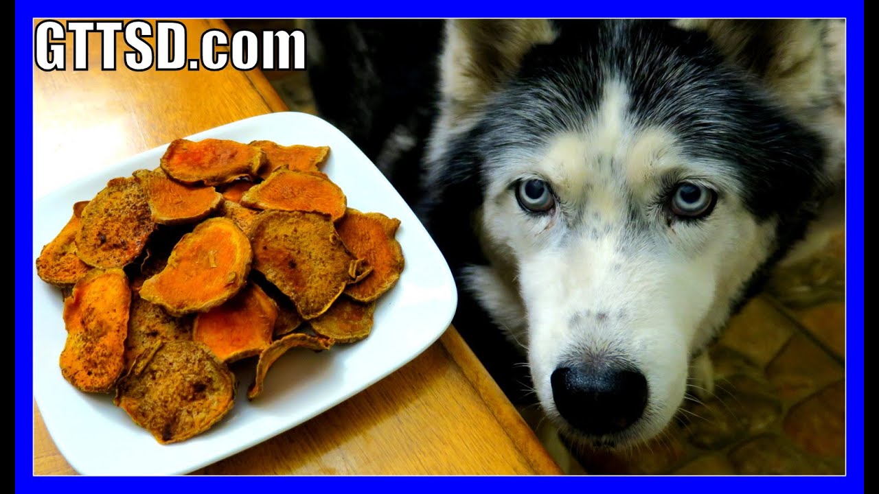 Are Potatoes Or Rice Better For Dogs